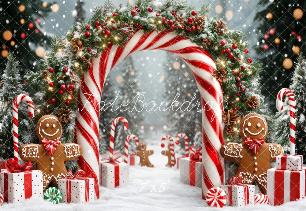 Kate Christmas Candy Cane Arch Gingerbread Snow Backdrop Designed by E