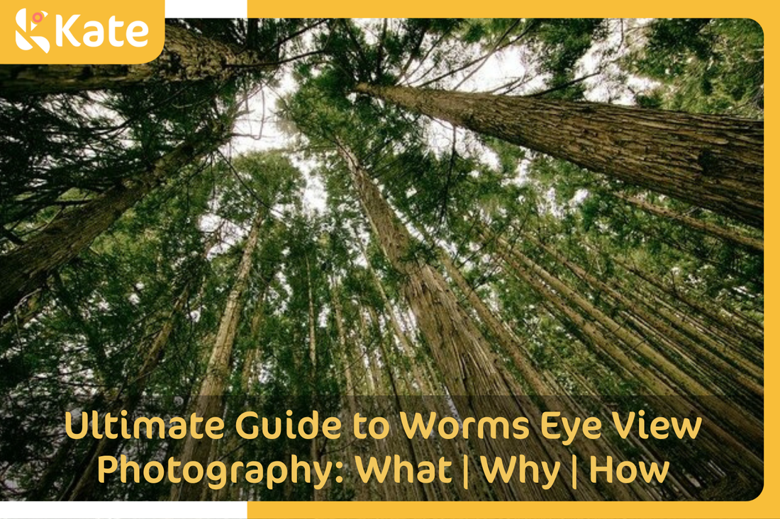 Ultimate Guide to Worms Eye View Photography: What | Why | How