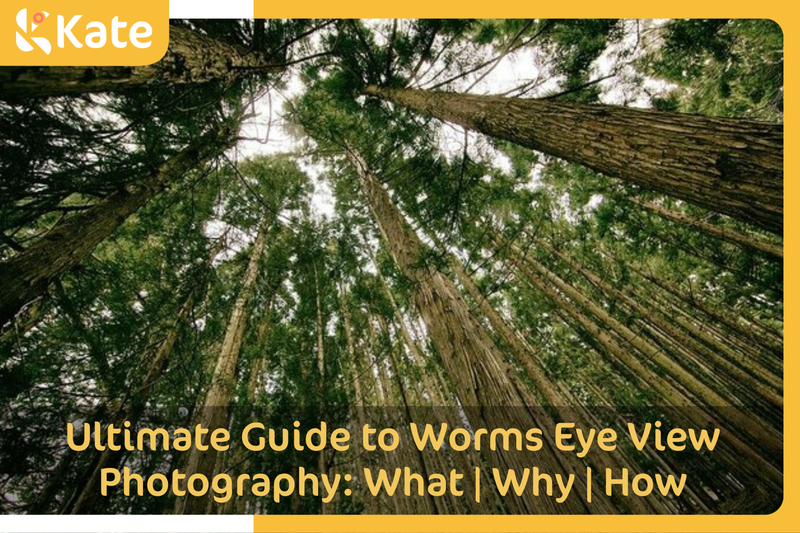 Ultimate Guide to Worms Eye View Photography: What | Why | How