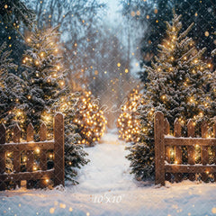 Winter Wonderland Festive Light Backdrop