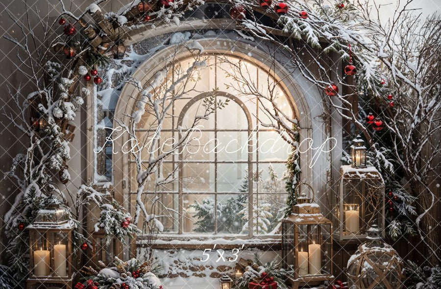 Kate Winter Christmas White Snow Arched Window Backdrop Designed by Em