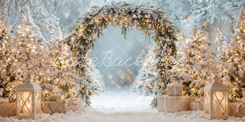 Winter Wonderland Snowy Arch Backdrop