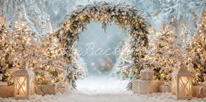 Winter Wonderland Snowy Arch Backdrop