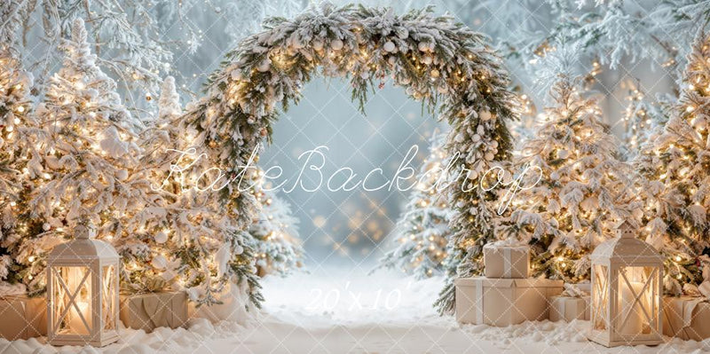 Winter Wonderland Snowy Arch Backdrop