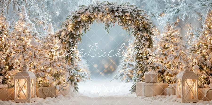 Winter Wonderland Snowy Arch Backdrop