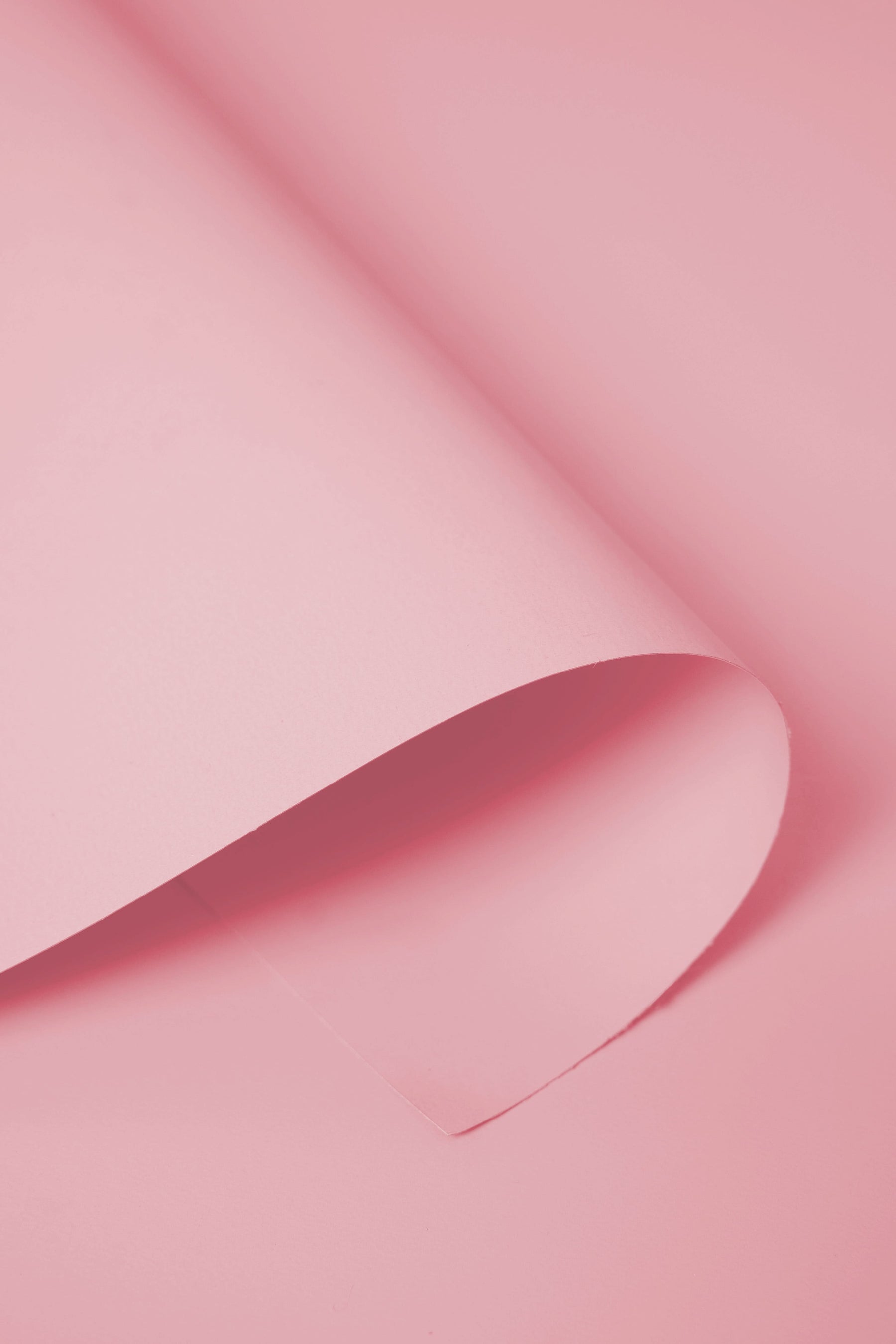 Kate Baby Pink Seamless Paper Backdrop for Photography (US 2-5 Day Del