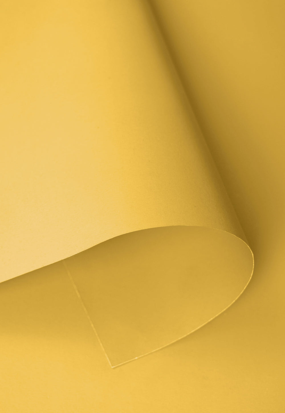Kate Light Yellow Seamless Paper Backdrop for Photography