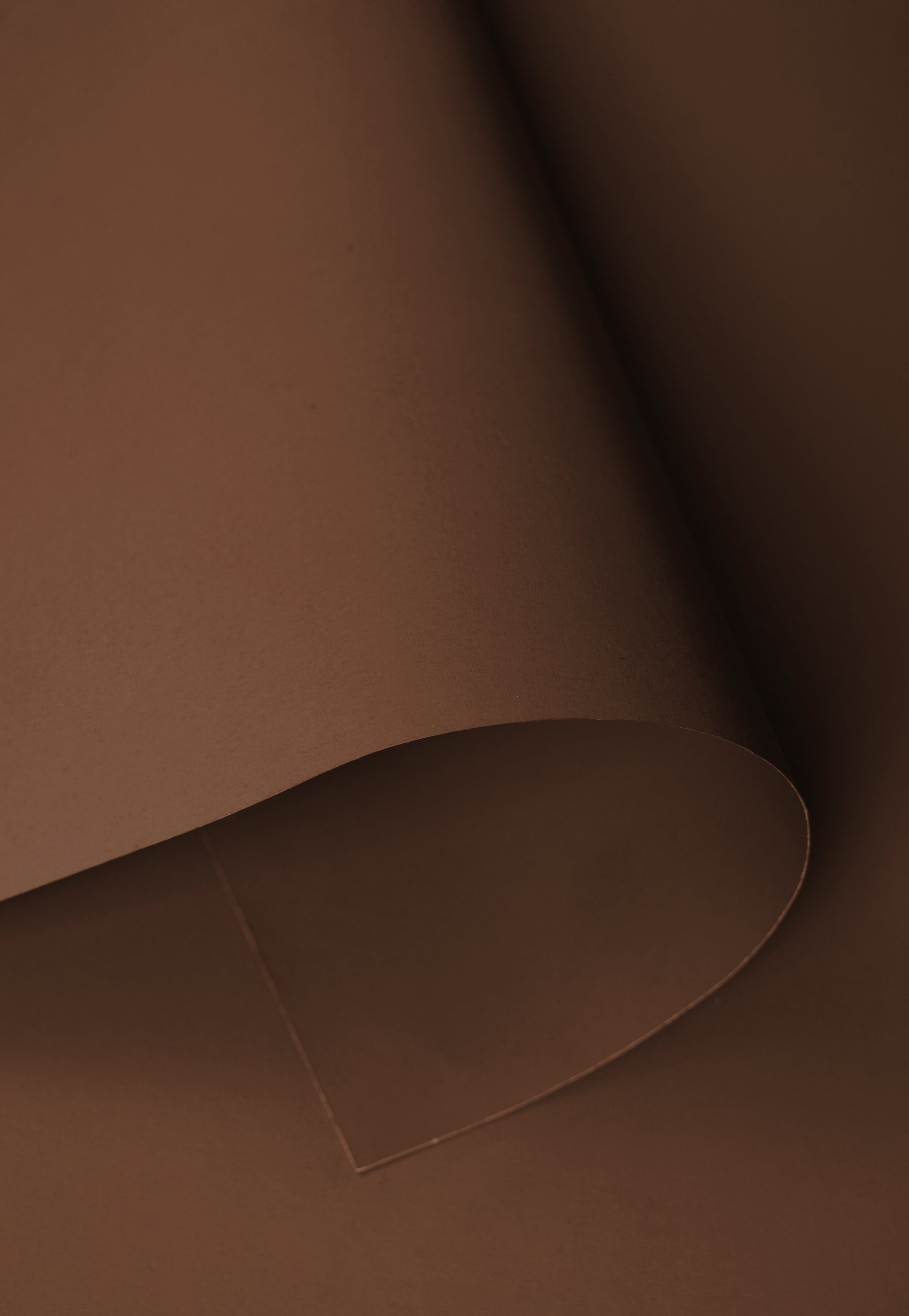 Kate Coco Brown Seamless Paper Backdrop for Photos