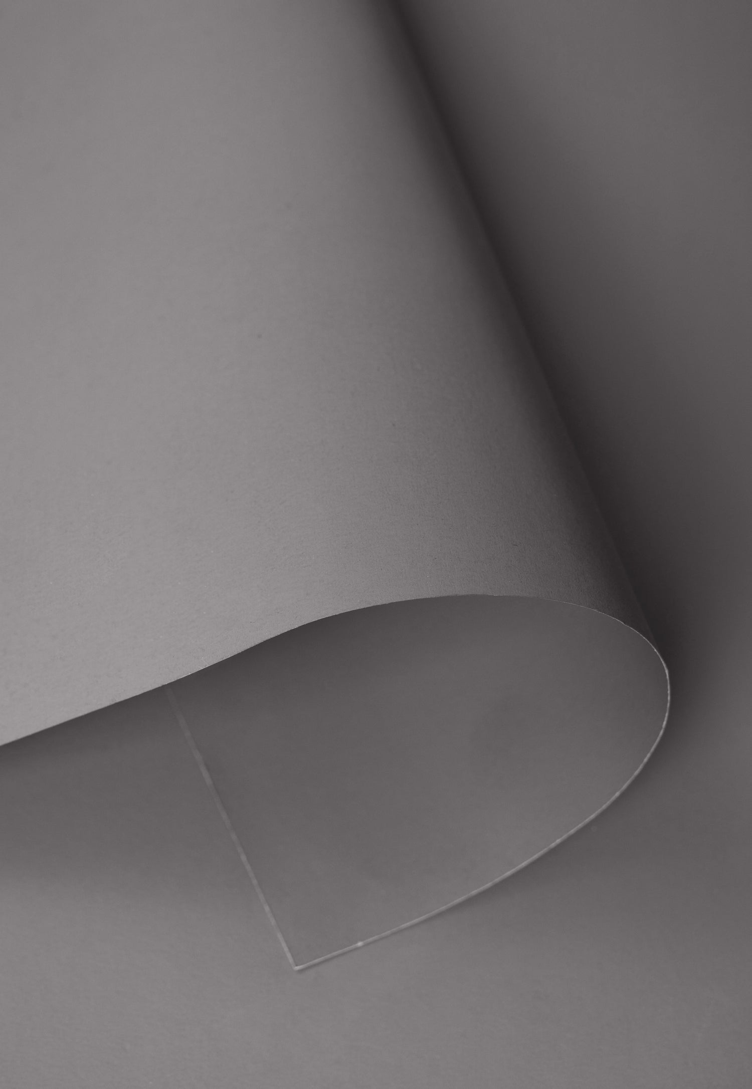 SALE RTS Kate Neutral Gray Seamless Paper Backdrop for Photography (US