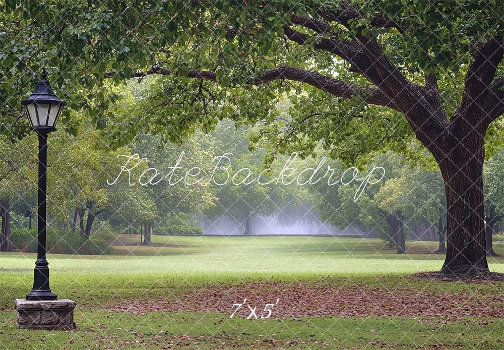 Kate Fine Art Park Fall Lamp Post Backdrop Designed by Mini MakeBeliev