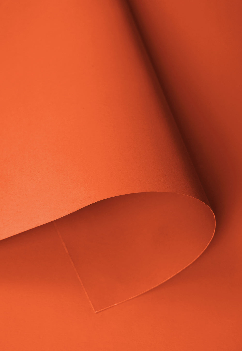 RTS Kate Bright Orange Seamless Paper Backdrop for Photography (US 48-