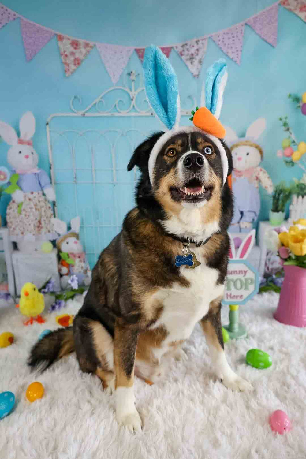 Springtime Easter Bunny Garden Backdrop