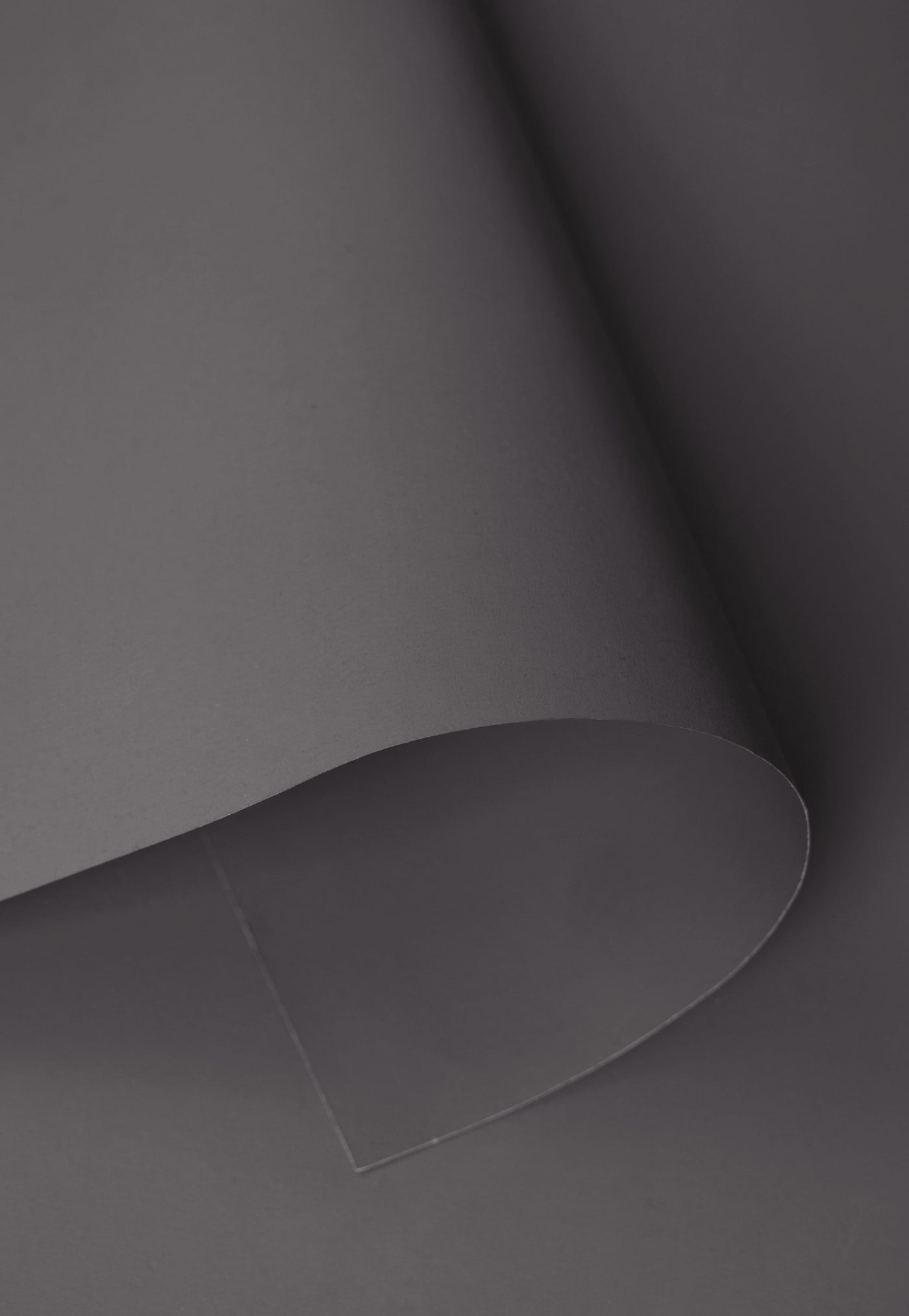 Kate Dove Gray Seamless Paper Backdrop for Photography