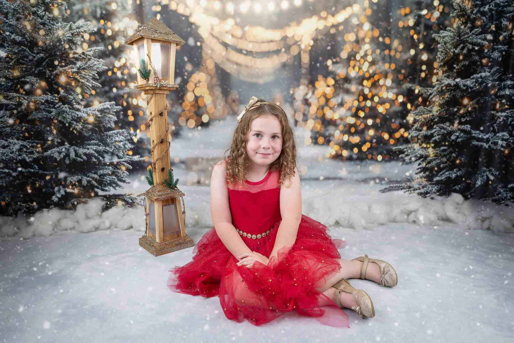 Kate Winter Christmas Outdoor Forest White Snowland Backdrop Designed