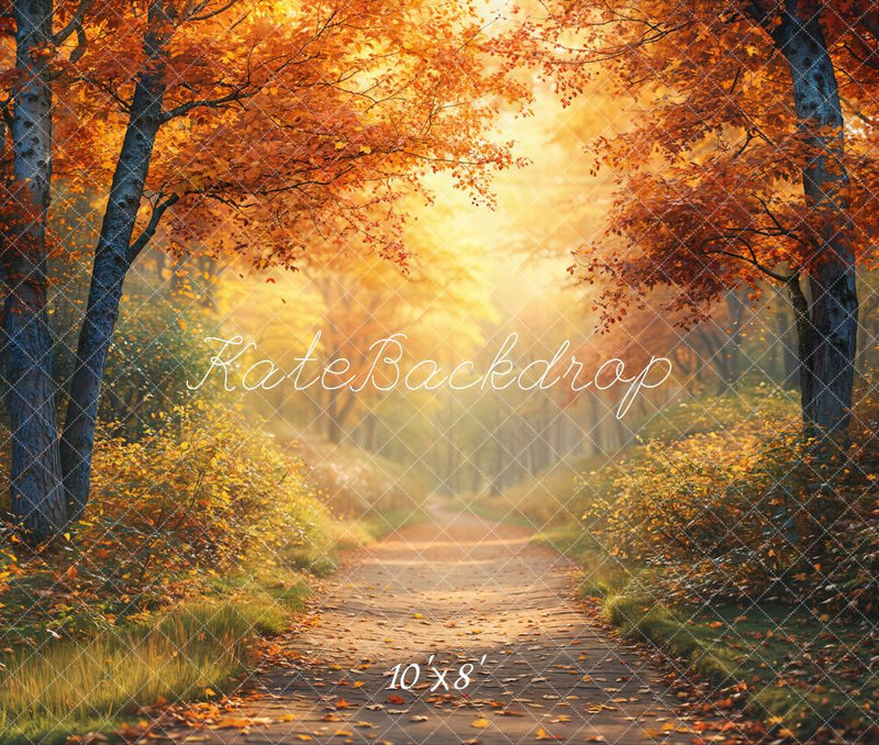 Golden Autumn Forest Path Backdrop