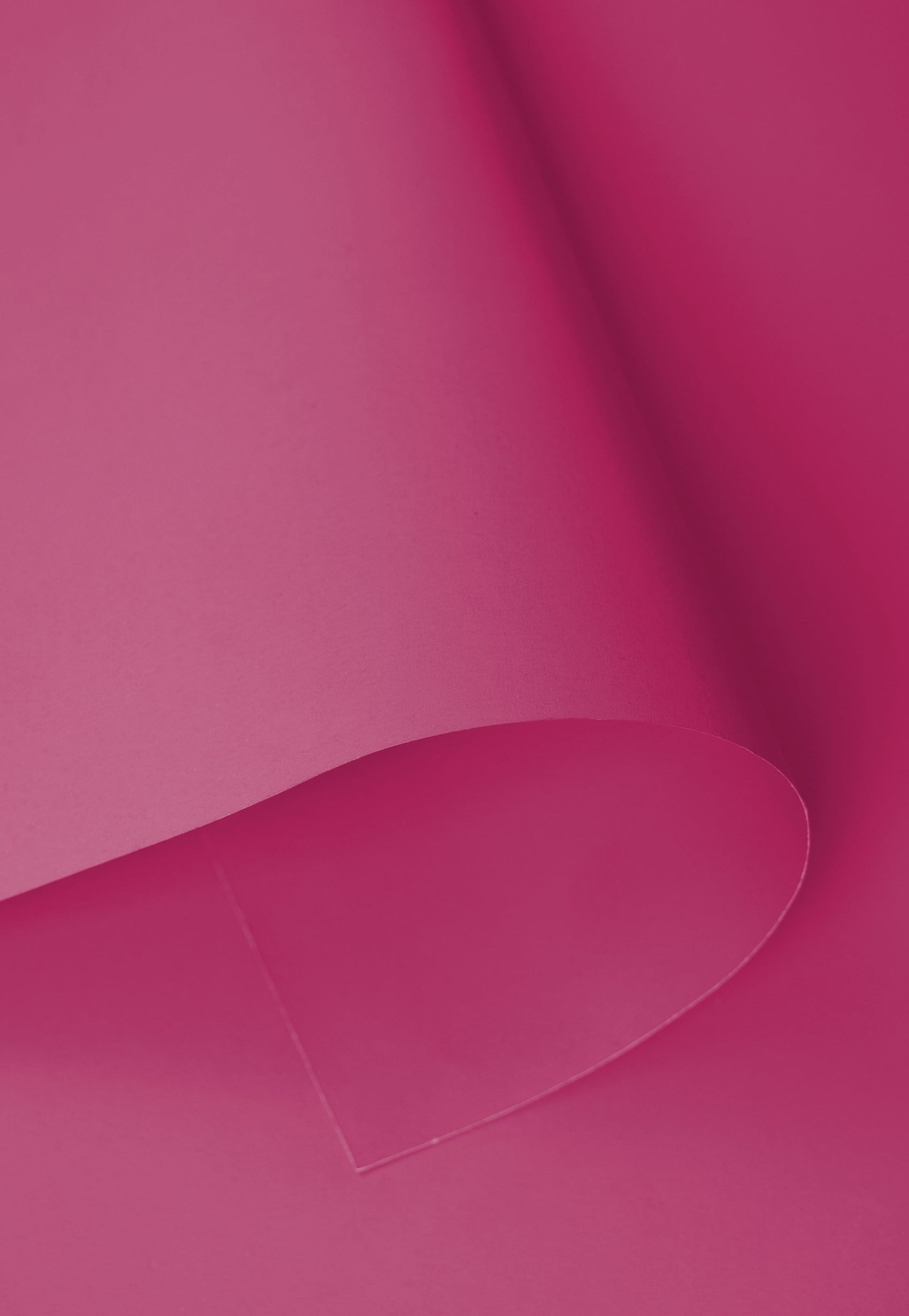 RTS Kate Rose Pink Seamless Paper Backdrop for Photography (US 2-5 Day