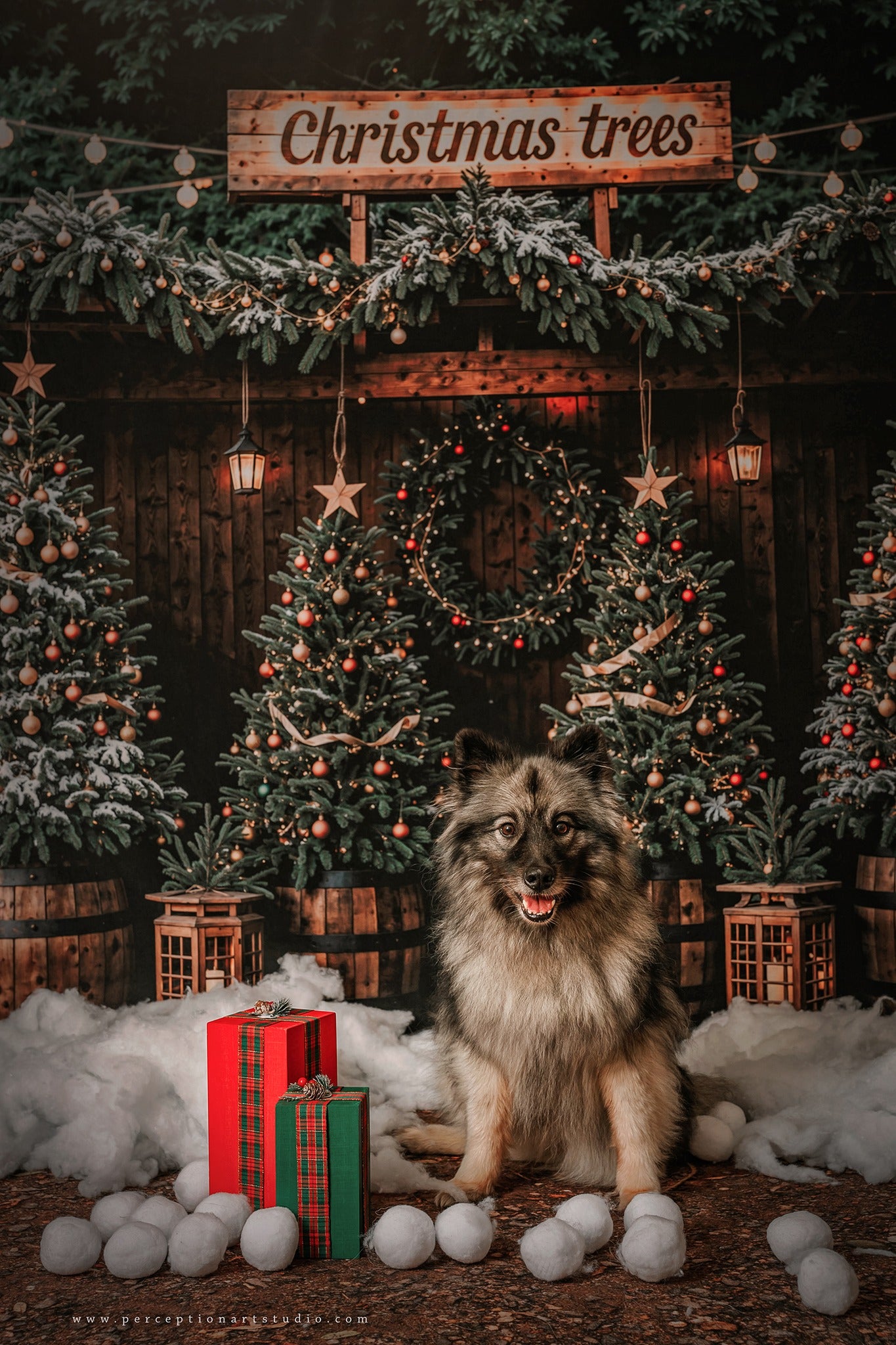 Rustic Festive Christmas Tree Backdrop