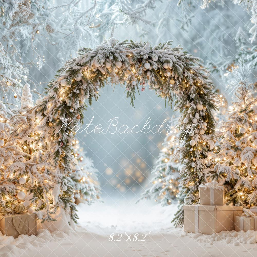 Winter Wonderland Snowy Arch Backdrop