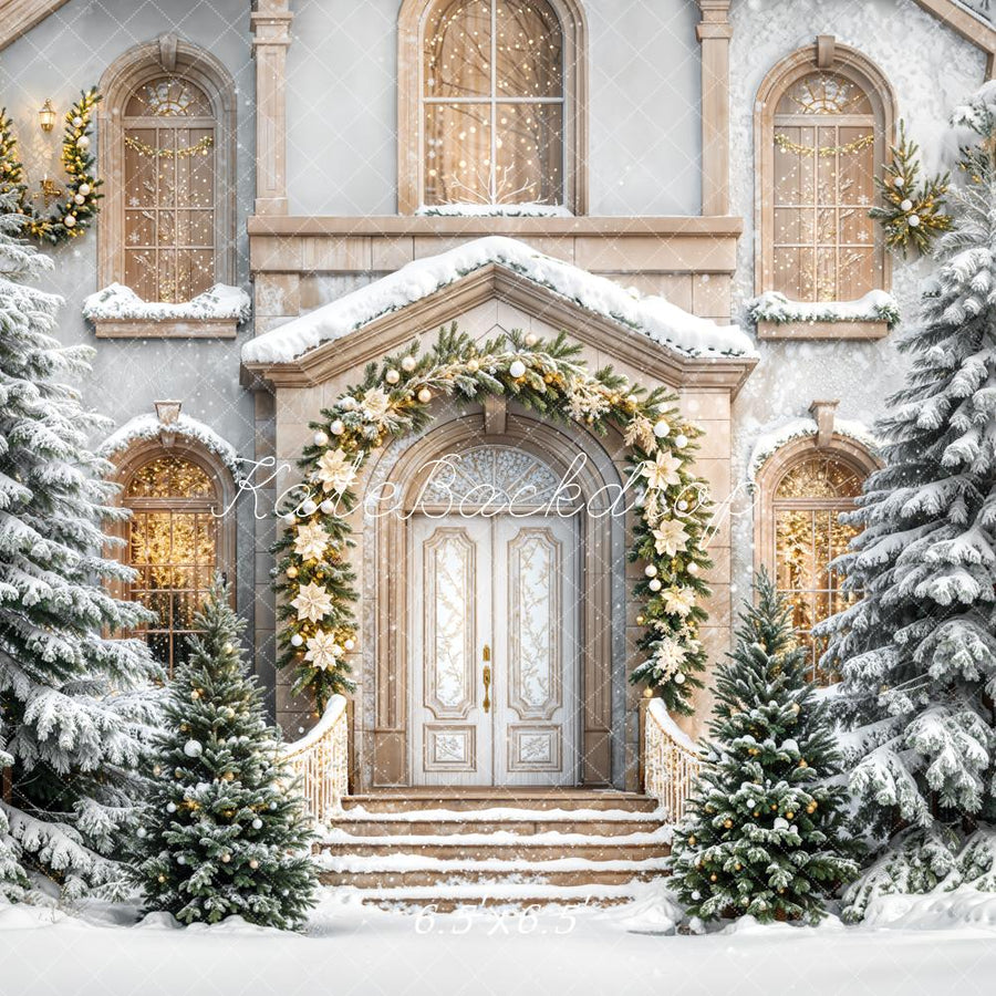 Elegant Snowy Winter Cottage Backdrop