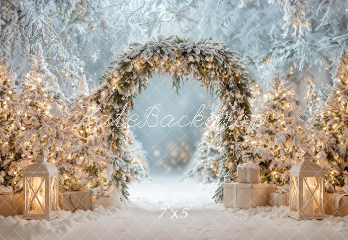 Winter Wonderland Snowy Arch Backdrop