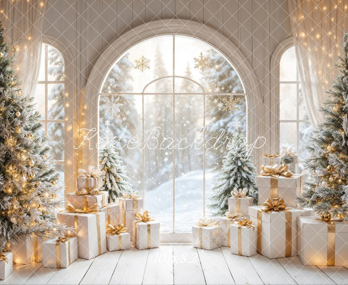 Elegant Snowy Winter Holiday Backdrop