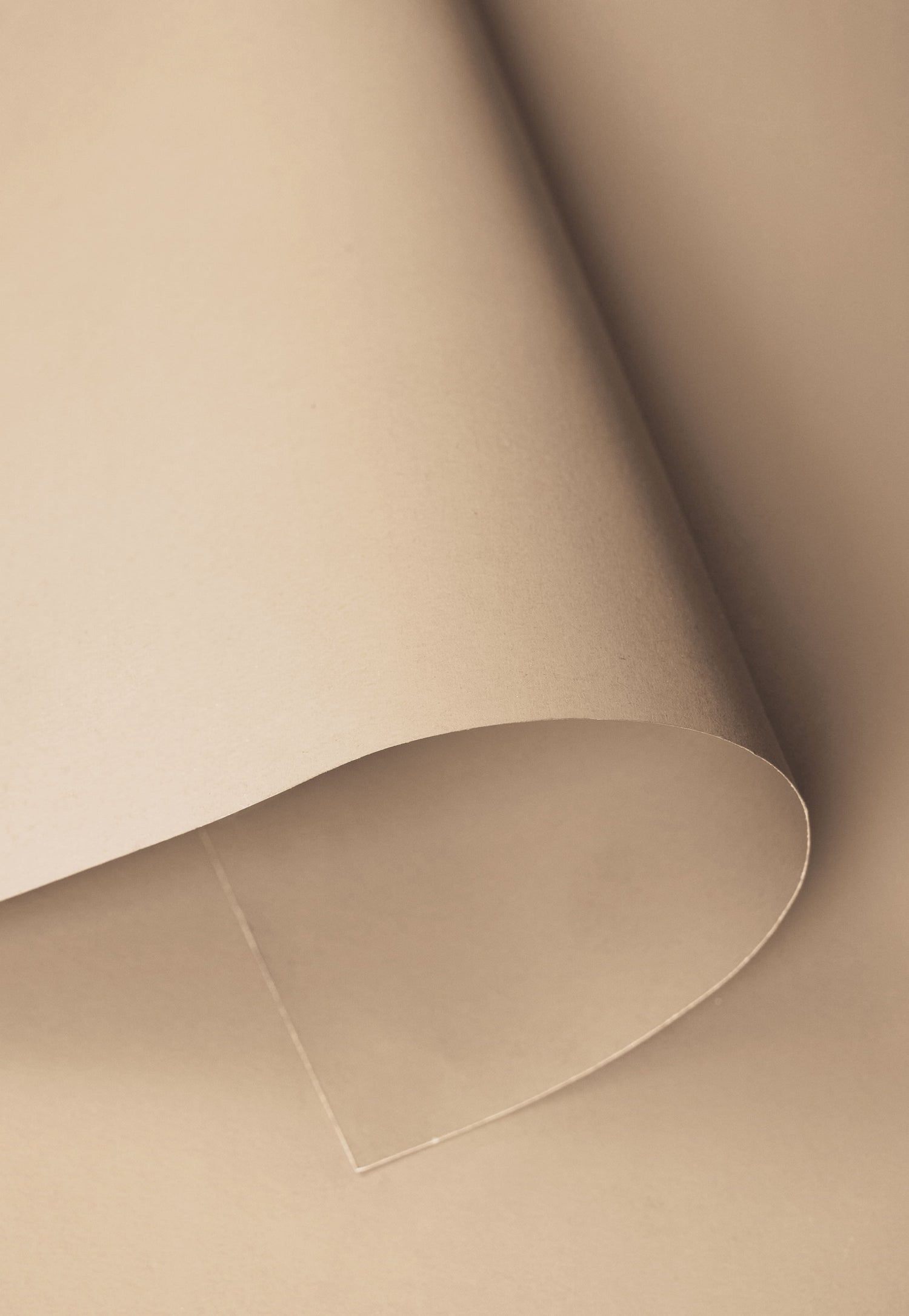 SALE RTS Kate Malt Color Seamless Paper Backdrop for Photography (US O