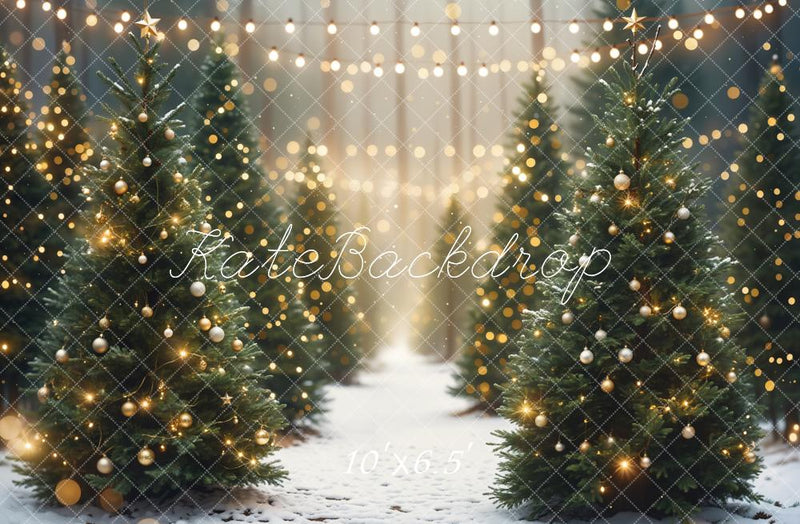 Elegant Festive Winter Christmas Trees Backdrop