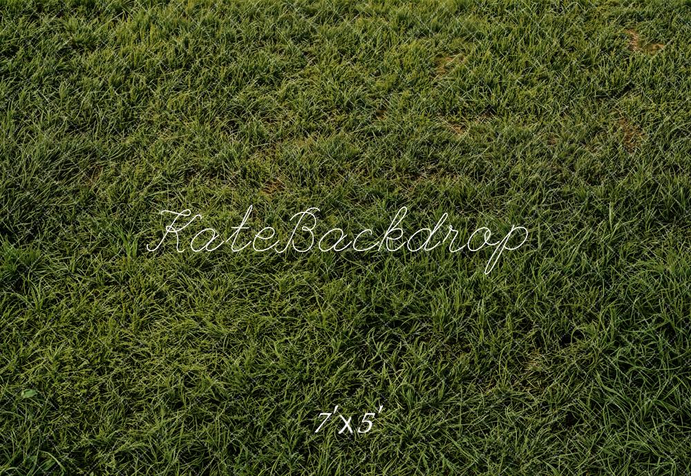 Lush Green Natural Grass Backdrop