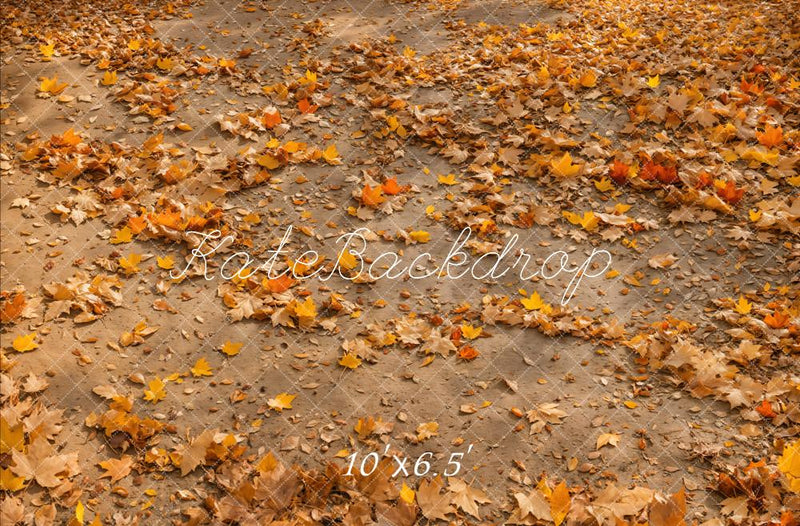Autumn Leaves Scenic Fall Backdrop
