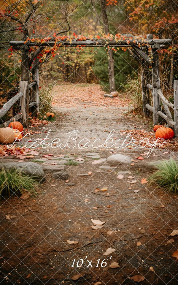 Rustic Autumn Pumpkin Pathway Backdrop
