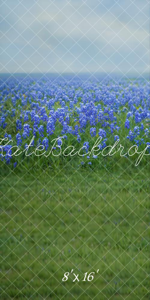 Bluebonnet Field Scenic Photography Backdrop