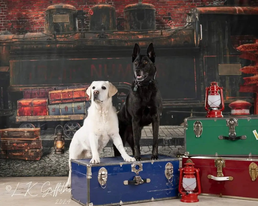 Kate Pet Retro Station Backdrop Train for Photography