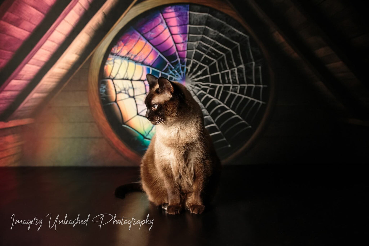 Mystical Attic Web Fantasy Backdrop