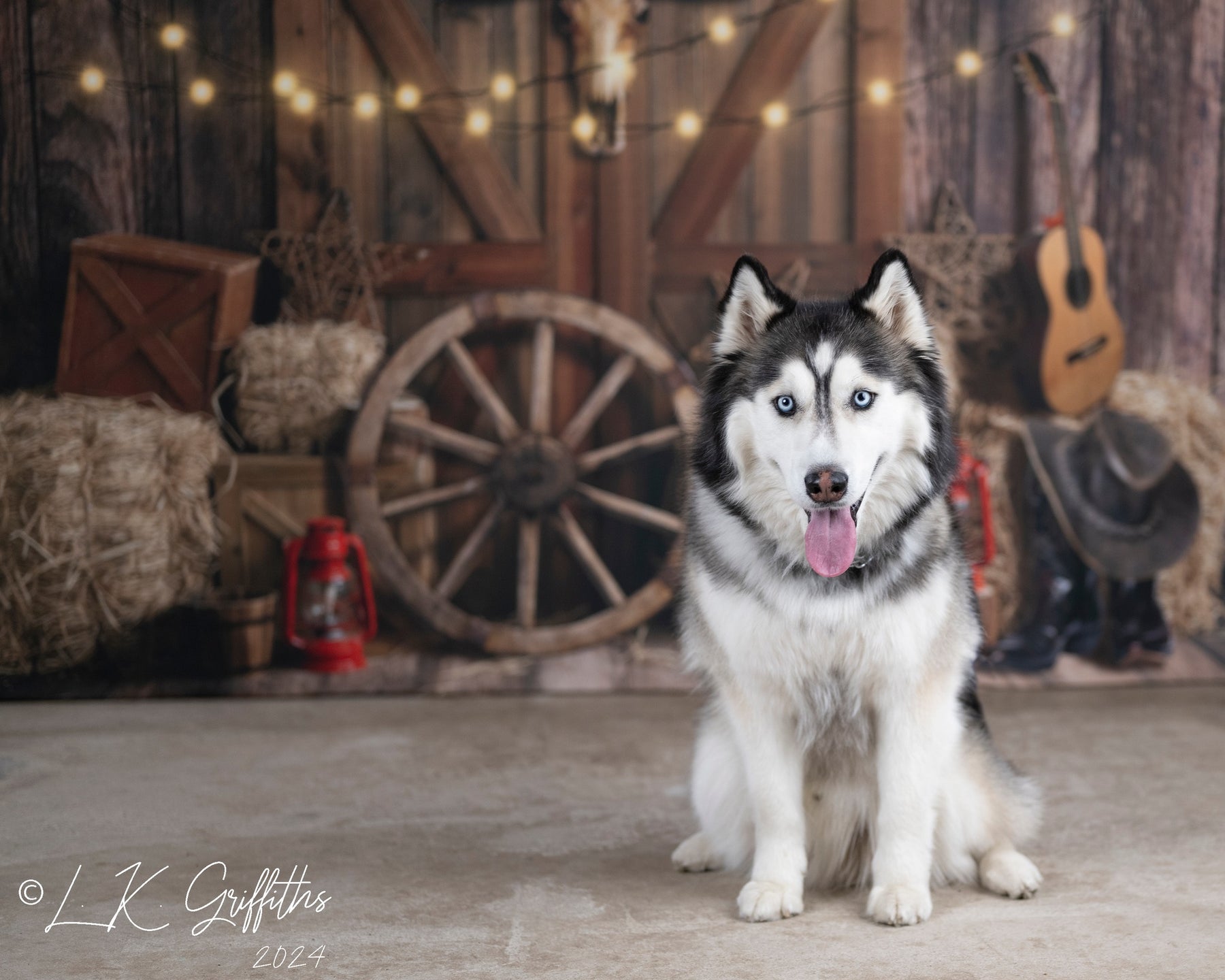 Kate Cow Boy Farm Backdrop for Photography