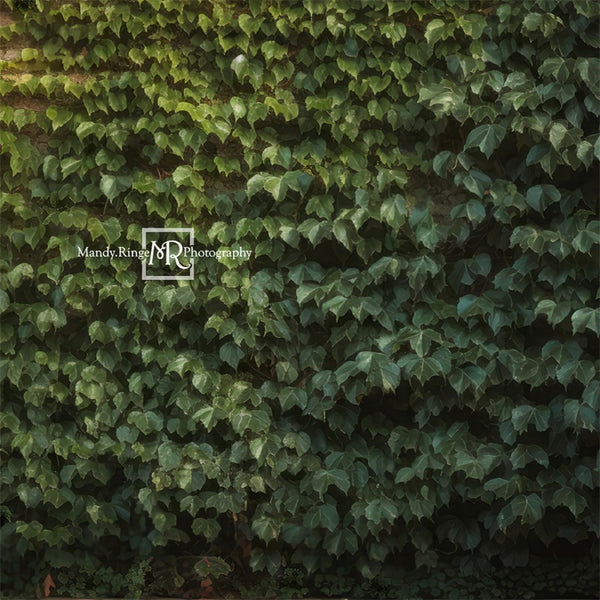 Lush Green Ivy Wall Photography Backdrop