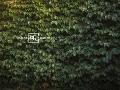 Lush Green Ivy Wall Photography Backdrop