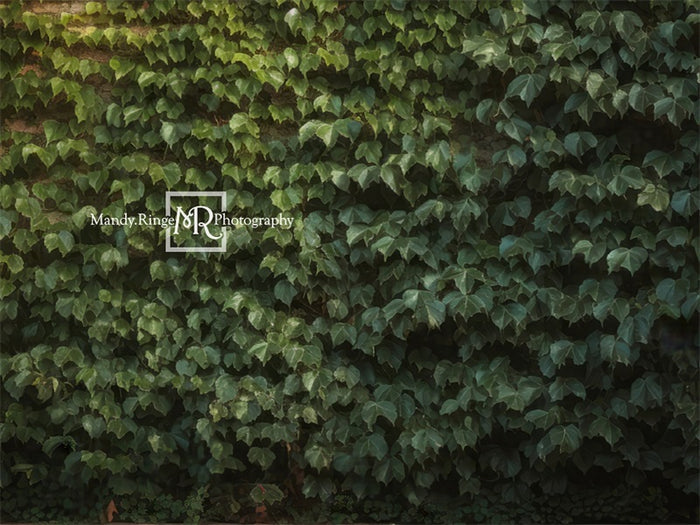Lush Green Ivy Wall Photography Backdrop
