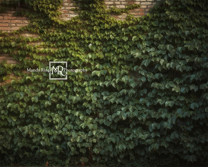 Lush Green Ivy Wall Photography Backdrop