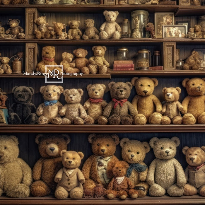Vintage Teddy Bear Collectors Display Backdrop