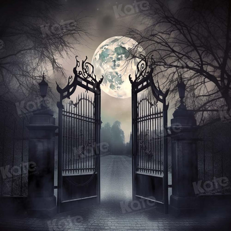Mystical Moonlit Gothic Iron Gate Backdrop