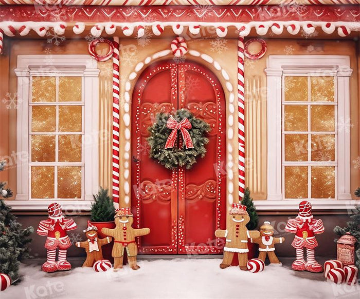 Kate Christmas Gingerbread House Outdoor Snow Backdrop for Photography