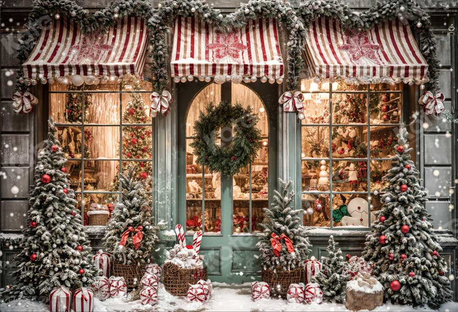 Festive Winter Wonderland Christmas Backdrop