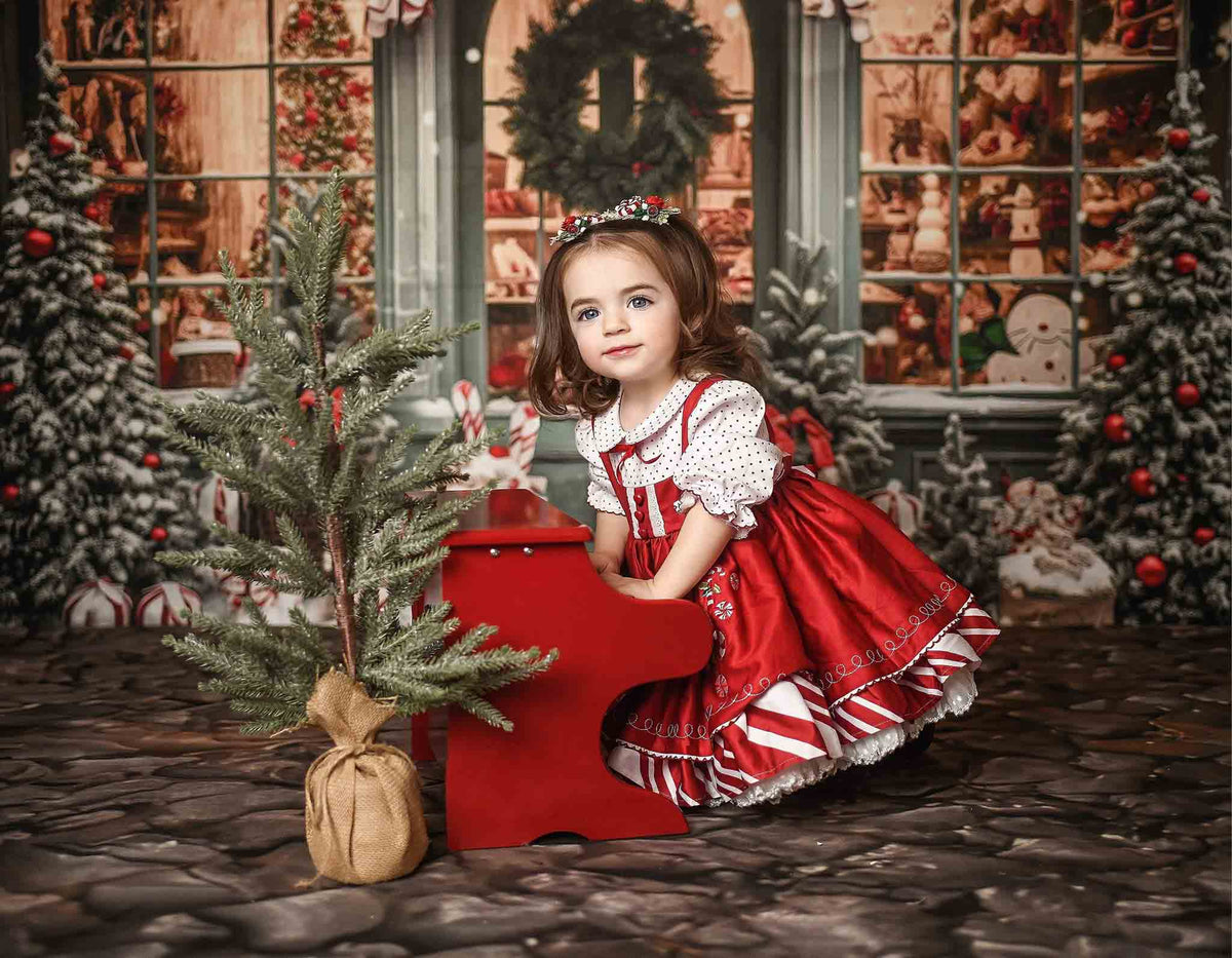 Vintage Christmas Postal Holiday Backdrop