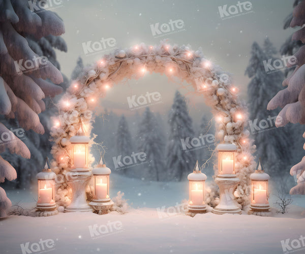 Kate Christmas Arch Outdoor Snow Light Backdrop for Photography