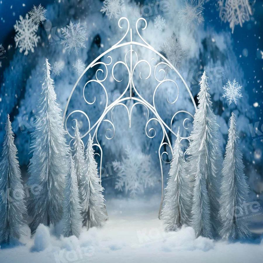 Enchanted Winter Snowflake Arch Backdrop