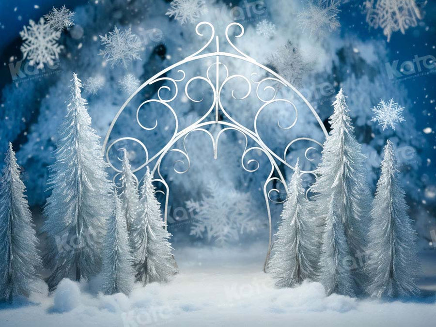 Enchanted Winter Snowflake Arch Backdrop