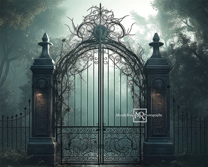 Enchanted Gothic Iron Gate Backdrop