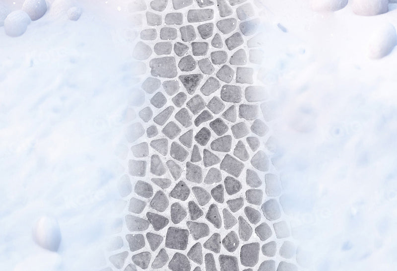 Frosted Stone Path Winter Backdrop