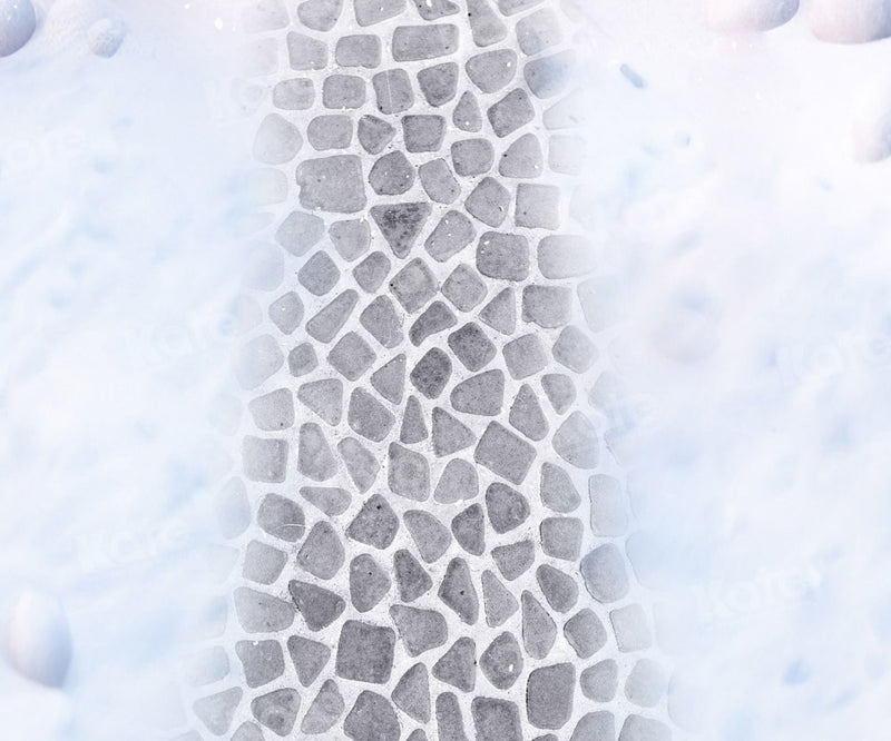 Frosted Stone Path Winter Backdrop