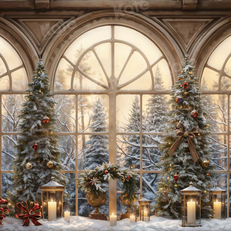 Elegant Winter Holiday Window Scene Backdrop
